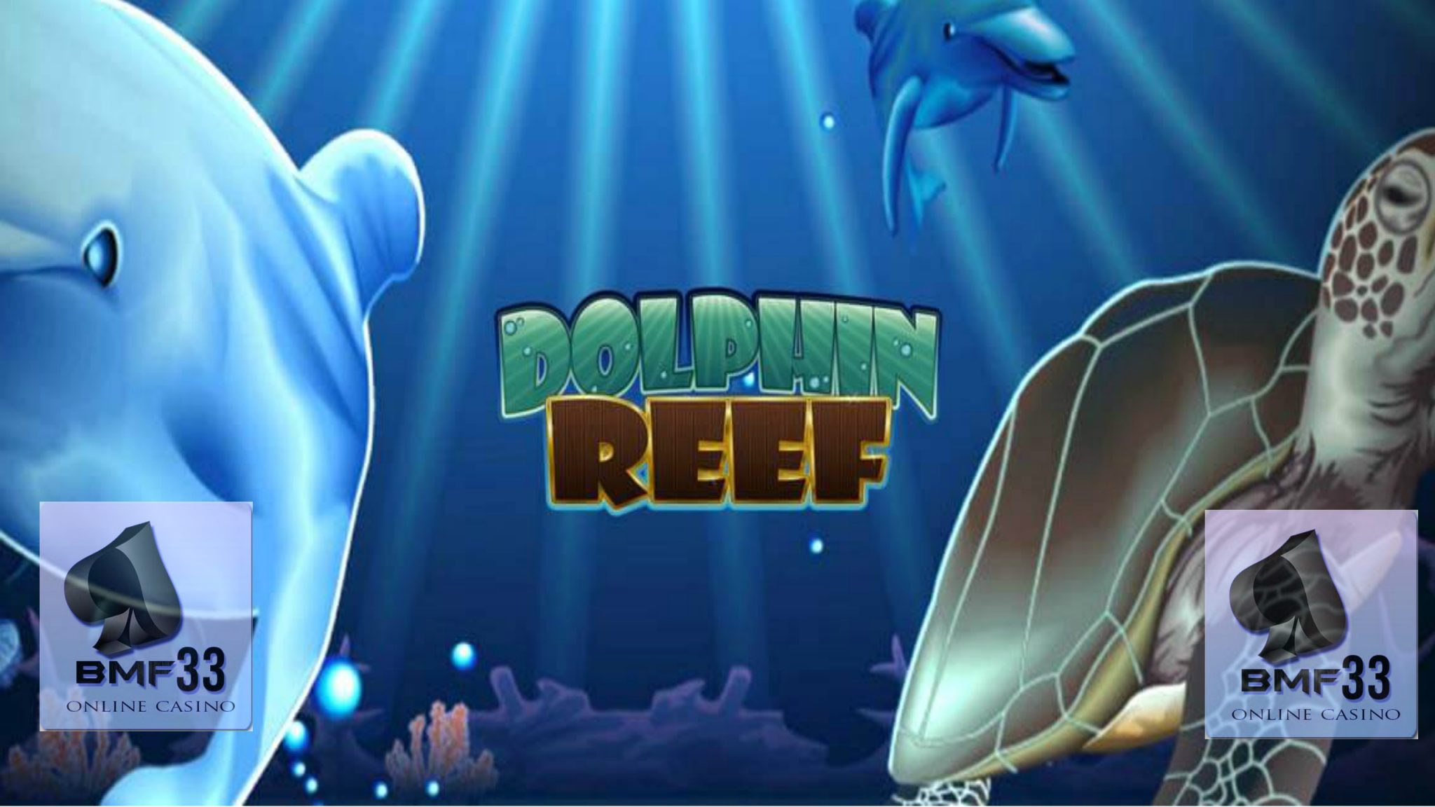 Cara Menang Slot Dolphin Reef | Download 918Kiss APK